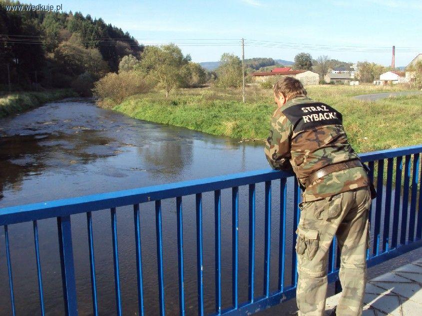Rzeka Bóbr Kamienna Góra-Ciechanowice - wiadomości