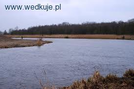 Rzeka Samica - wiadomości